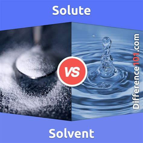 Solute Vs Solvent Whats The Difference Between Solute And Solvent Solvent Operant