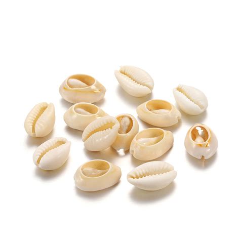 50 Small Cowrie Shell Natural Sea Shell Money Shell Bead Bulk Shell Diykitsforu