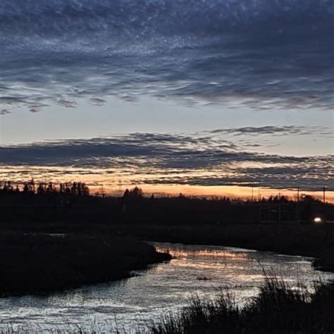 Stream Hip Hop 16 Bar Loop By Shane Higgins Listen Online For Free On