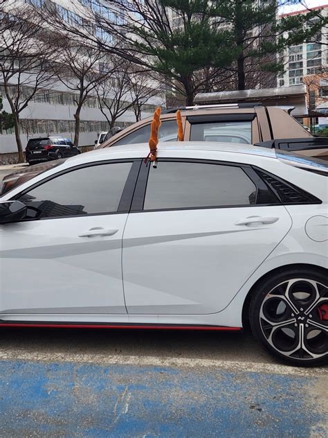 루돌프 뿔을 단 자동차 Mlbpark