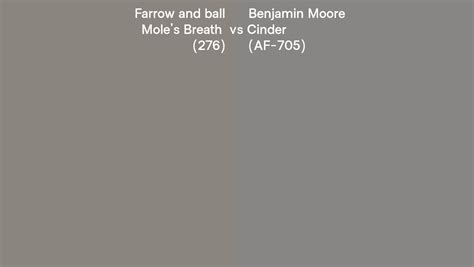 Farrow And Ball Moles Breath 276 Vs Benjamin Moore Cinder Af 705