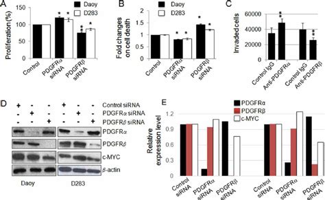 Pdgfrs Have Distinct Cellular Functions And Pdgfrβ Regulates C Myc A Download Scientific