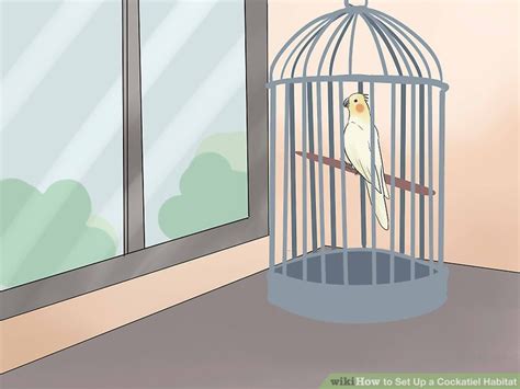 How To Set Up A Cockatiel Habitat 10 Steps With Pictures