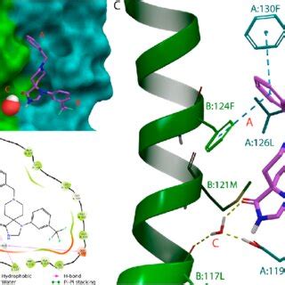 C Subunitscompound Complex Binding Mode A Binding Pose Of Download Scientific Diagram