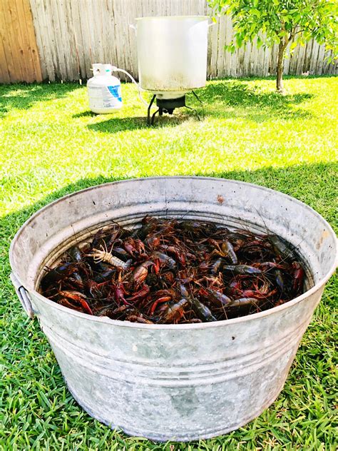 Bring On The Mud Bugs Peach And The Willow