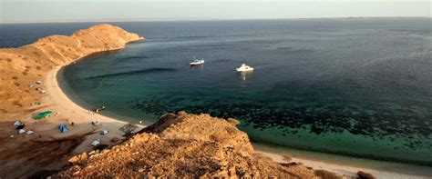 Independence Day 2026 And 2027 In Eritrea Publicholidaysafrica
