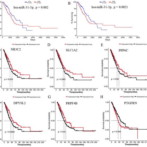 Survival Analysis Using The Data From The Cancer Genome Atlas Tcga Download Scientific