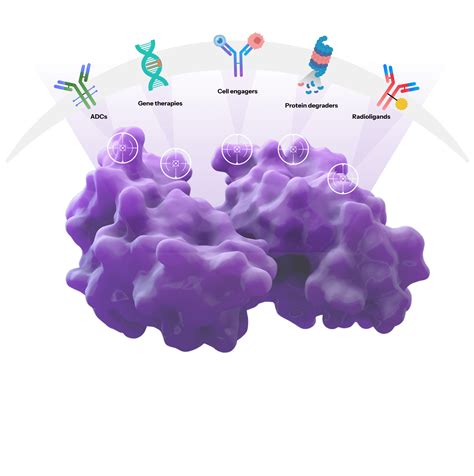 Target Identification Services Target Id And Validation Via Proteomics