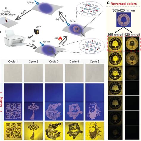 Schematic Diagram Of Efficient Phosphorescence With Dynamically Download Scientific Diagram