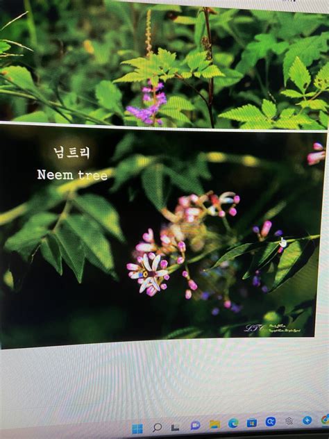 어지러운 꽃 이름들 OP GG