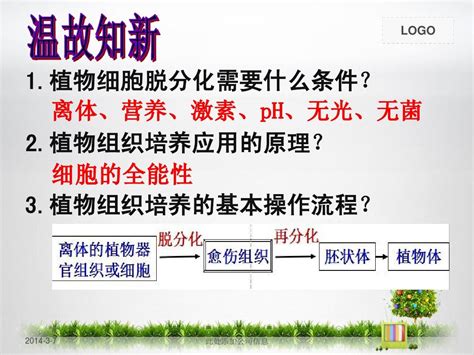 2 2 1 动物细胞培养和核移植技术 第一课时 word文档在线阅读与下载 无忧文档