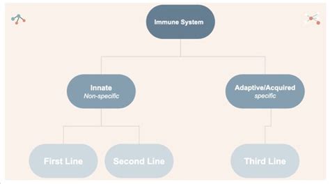 Exam 4 Review Powerpoint Flashcards Quizlet Exam 4 Review Powerpoint Flashcards Quizlet