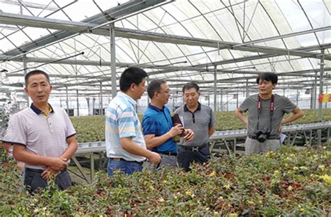 我校专家赴望江县调研，助力脱贫攻坚工作 池州学院