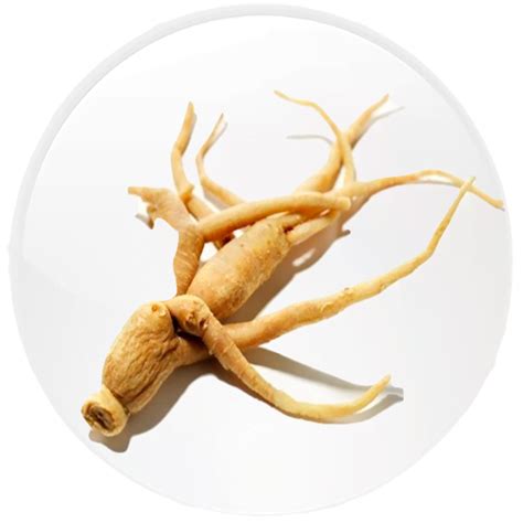 ჟენშენი ენერგიის აღმდგენი ტელ 579143811