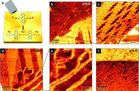 A Schematic Representation Of The Synthesis Process Precursor Download Scientific Diagram