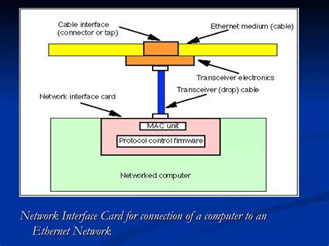 Network Interface Card Ppt Computer Networking Computing
