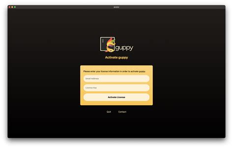 Activating Guppy Sailscasts Docs