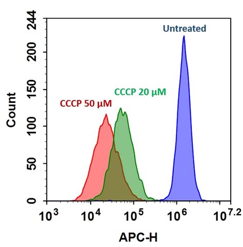 Cell Meter 线粒体膜电位检测试剂盒 红色荧光 适合流式细胞检测 西安百萤生物科技有限公司