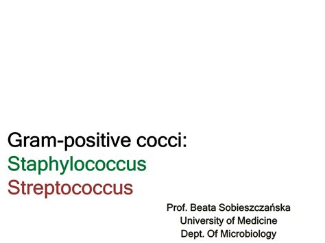 Gram Positive Cocci Staphylococcus Streptococcus Prof Docslib