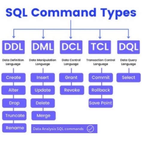 📊 Sql Queries And Data Management Symbiotic Learn How Humaira