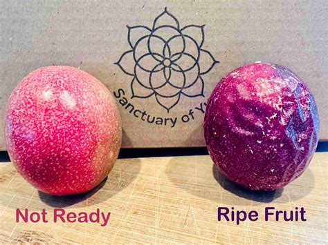 Organic Passion Fruit Box Sanctuary Of Yum