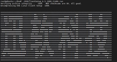 DSELinuxV6 5 x64 x86 版本安装使用 DSE问题解决方案