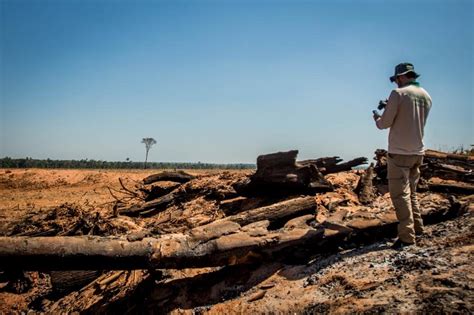 Mato Grosso Aplicou R 12 Bilhão Em Multa Por Crimes Ambientais Em