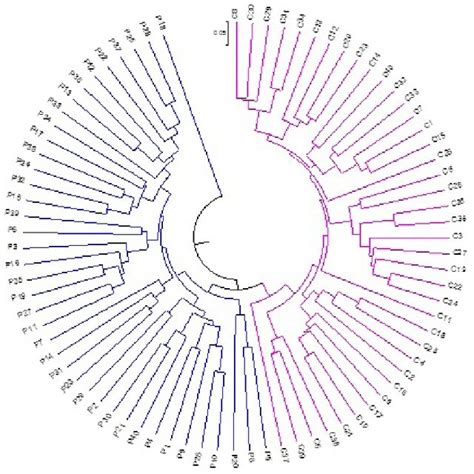 Dendrogram Obtained Using The Upgma Hierarchical Method For 80 S 1