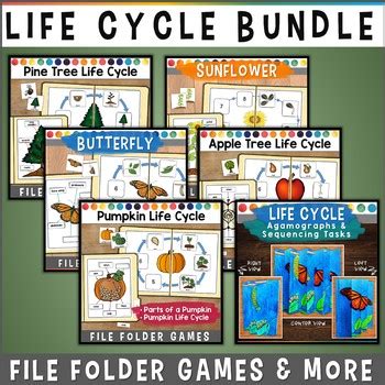 Life Cycle File Folder Game BUNDLE By Exceptional Thinkers TpT