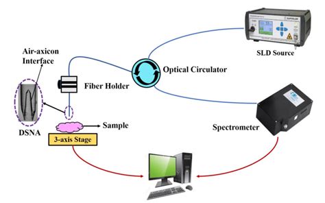 Schematic Of The Experimental Setup Uses Common Path Optical Coherence Download Scientific