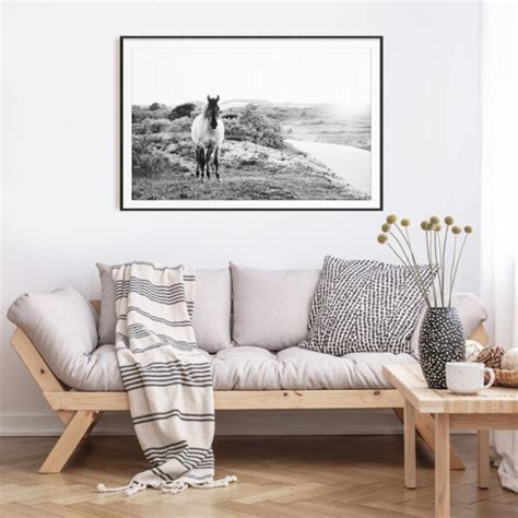 Wall Art Black Cockatoo A Canvas Prints Poster Prints Art Prints Melbourne Wall Art