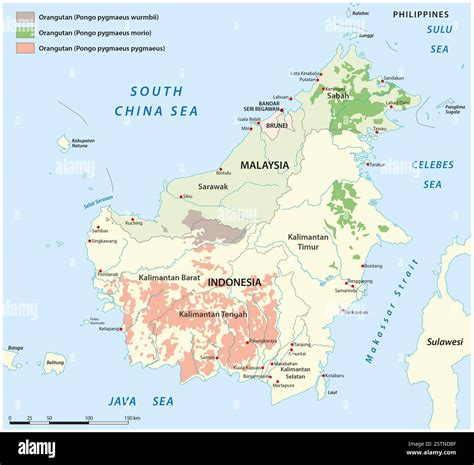 Map Of The Distribution Areas Of Orangutans On The Island Of Borneo