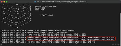 java开发 深入理解redis哨兵机制原理 java 哨兵模式 csdn博客