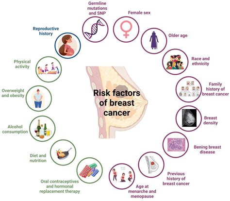 Understanding The Risk Factors