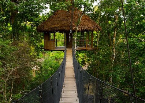 Iquitos Nauta Peru Treehouse Waterfront Room Treehouse Lodge