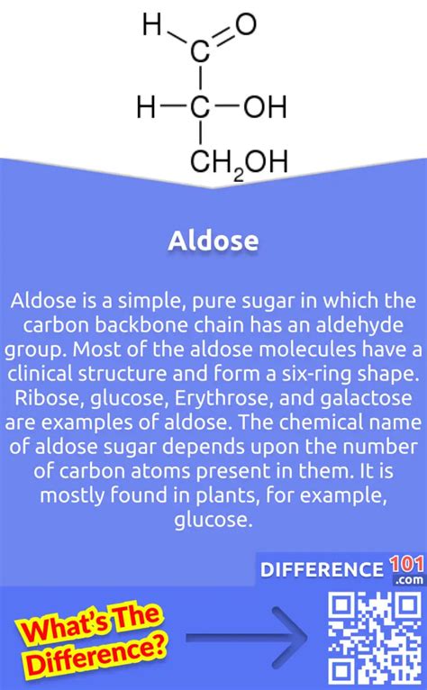 Aldose Vs Ketose 7 Key Differences Pros And Cons Examples