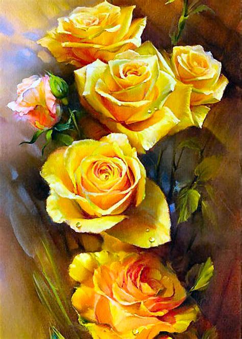 Il Significato Delle Rose