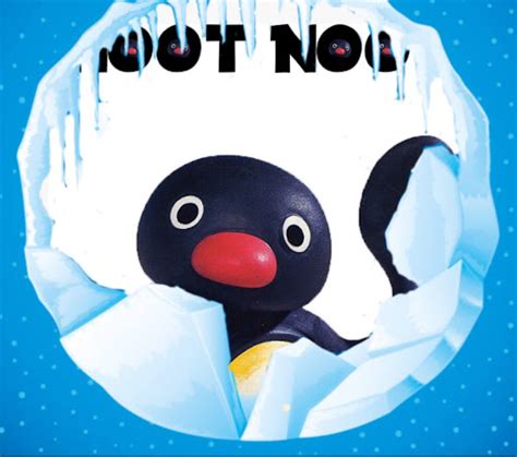 Trinket Run Code Anywhere