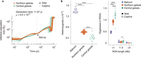 Historical Demography And Genomic Diversity Among Gelada Populations A Download Scientific