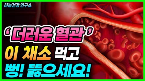 혈관 청소에 좋은 붉은채소 매일 드세요 막힌 혈관 뻥 뚫립니다 혈관에 좋은 음식 Youtube