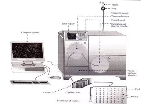 Automated Microbial Identification System Pptx