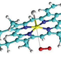 The Model For Myoglobin O 2 Interaction Instead Of Histidine Residue Download Scientific