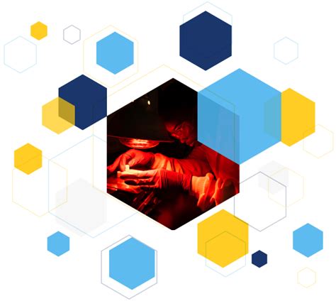 Office Of The Vice President For Research University Of Rochester