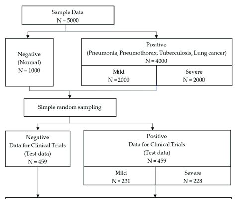 Composition Of Dataset And Test Dataset Download Scientific Diagram