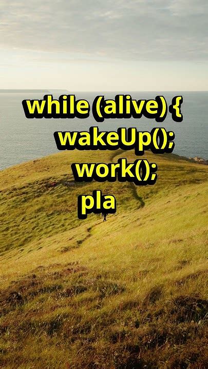 Code For The Balanced Life Code Codingmemes Codelearning Youtube