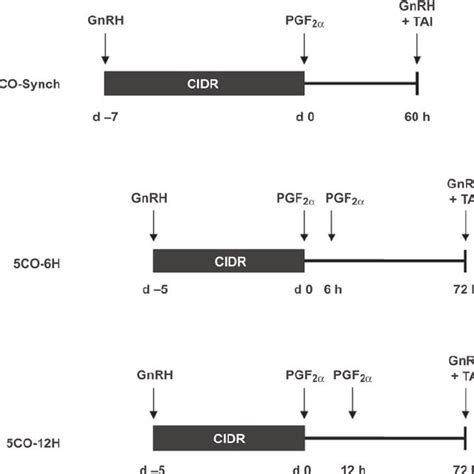 Diagram Of Treatment Protocols Used To Synchronize Estrus And Ovulation Download Scientific