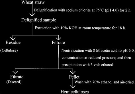 Scheme For Extraction Of Hemicelluloses From Wheat Straw Download