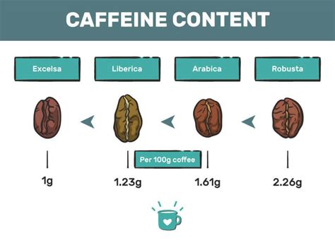 4 Types Of Coffee Beans Characteristics Blends And Roast Varieties