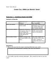 Cheek Cell DNA Isolation Analysis Of Results And DNA Appearance Course Hero