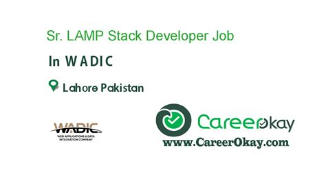 sr lamp stack developer job in wadic in lahore pakistan ref 94872